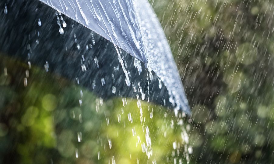 ΤΑ ΝΕΑ - ΕΠΑΛΞΗ ΕΘΝΙΚΩΝ ΚΑΙ ΚΟΙΝΩΝΙΚΩΝ ΑΓΩΝΩΝ